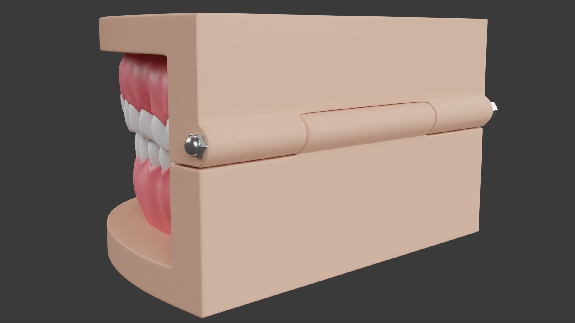 Dental Typodont Teeth 3D - TurboSquid 2225786