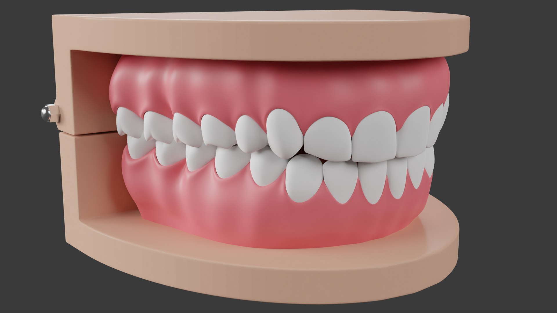 Dental Typodont Teeth 3D - TurboSquid 2225786