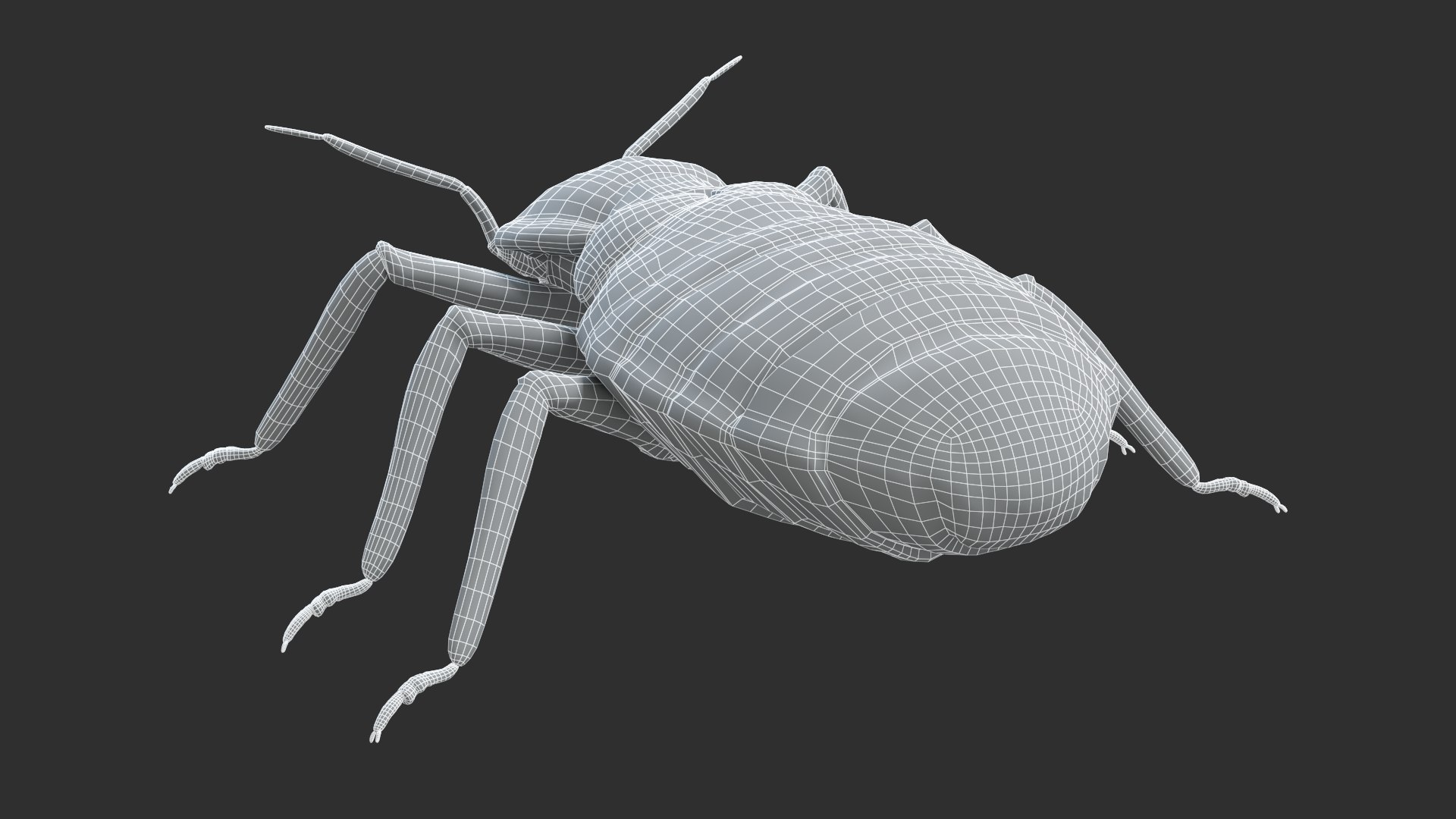 3D Bedbug - TurboSquid 1968638