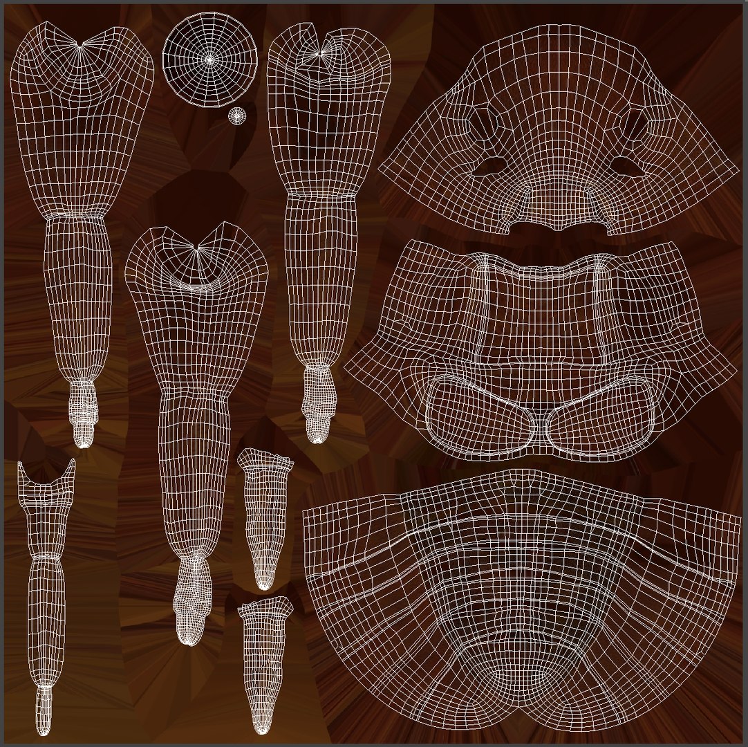 3D Bedbug - TurboSquid 1968638