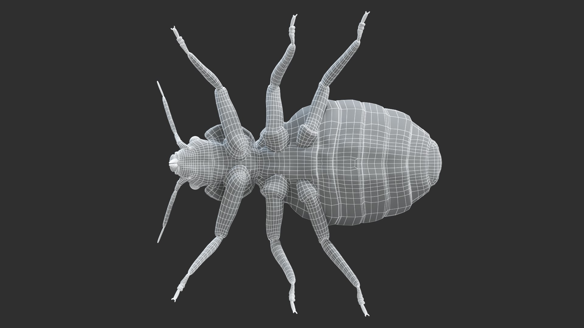 3D Bedbug - TurboSquid 1968638