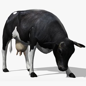 Free Cow 3D Models for Download | TurboSquid