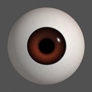 Eyes OBJ Models for Download | TurboSquid