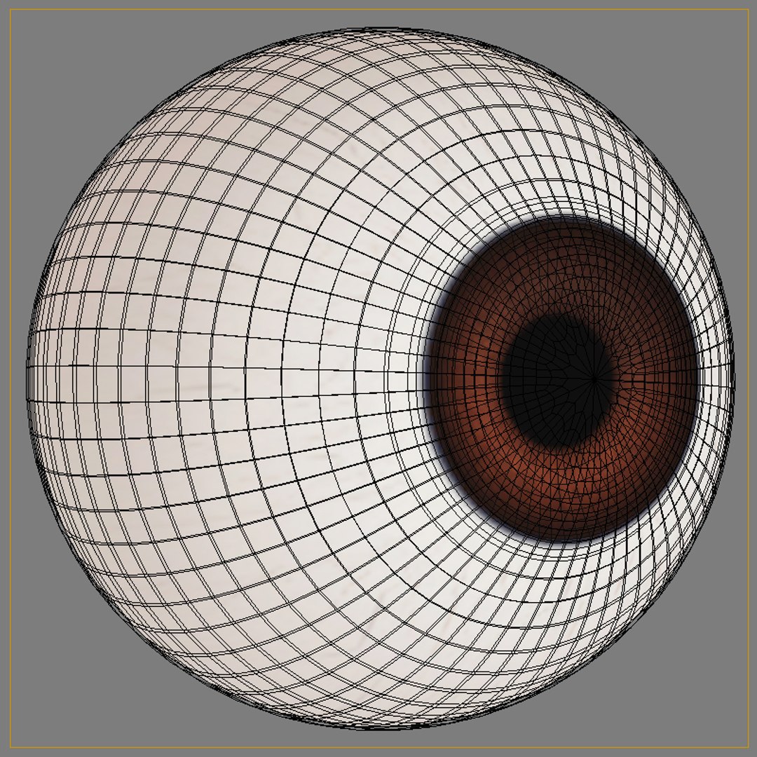 eye 3d model
