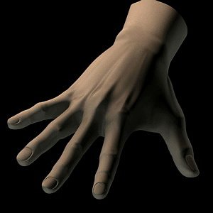 Hand 3D Models for Download | TurboSquid