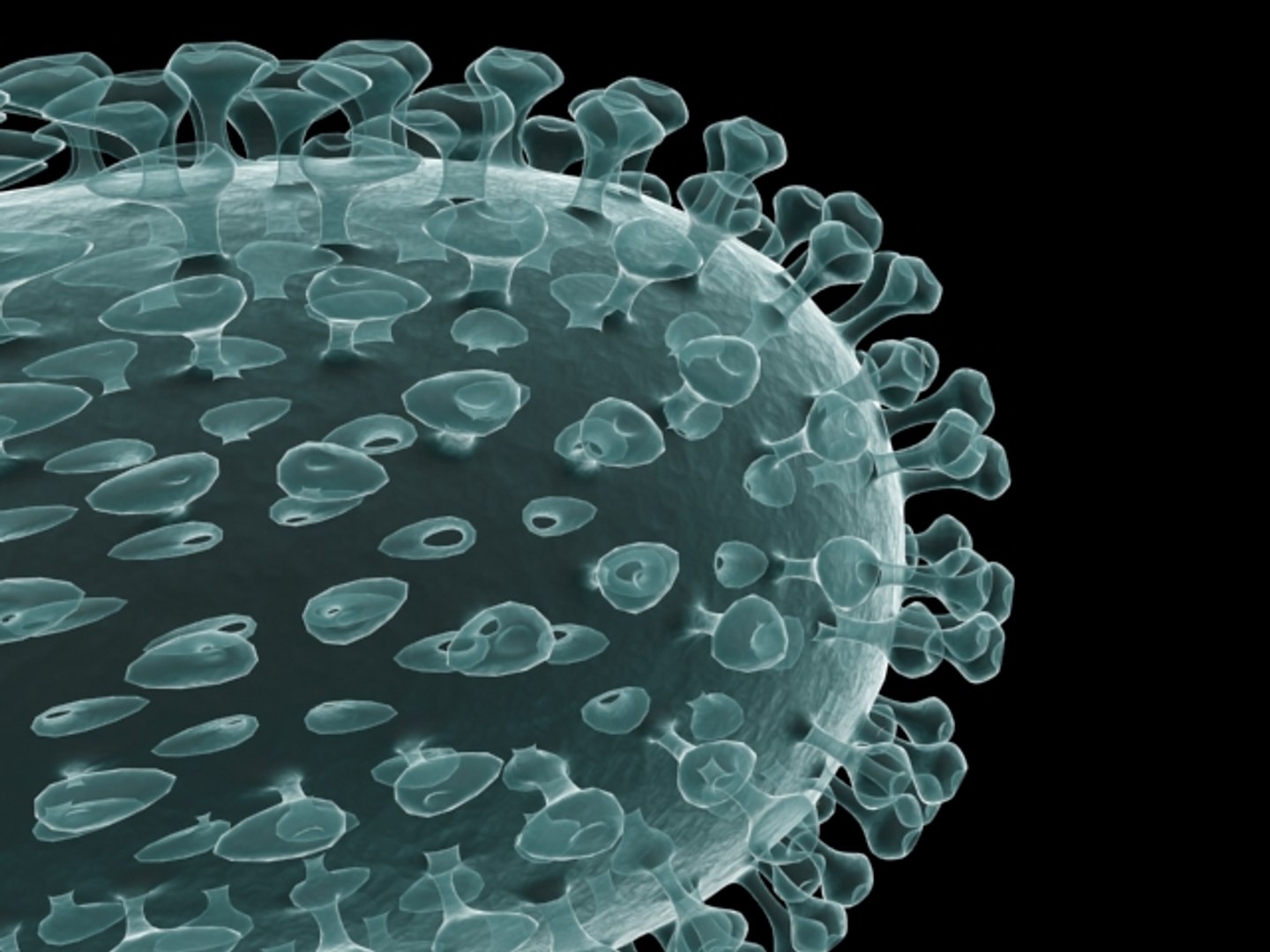 3d bacillus bacteria model