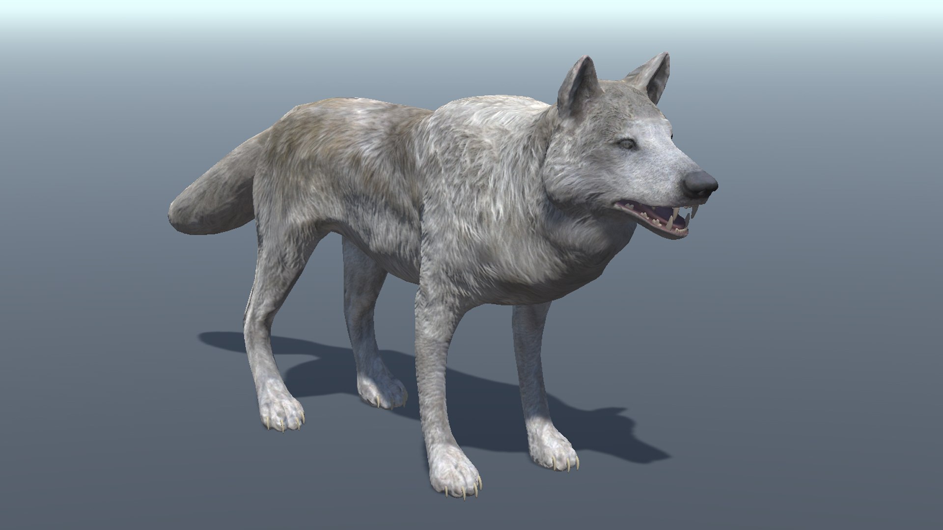 3D Lowpoly Wolf Rigged And Animated For VR AR Games1 - TurboSquid 2038565