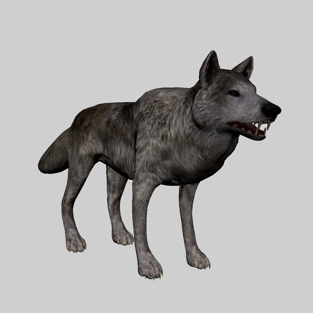 3D Lowpoly Wolf Rigged And Animated For VR AR Games1 - TurboSquid 2038565