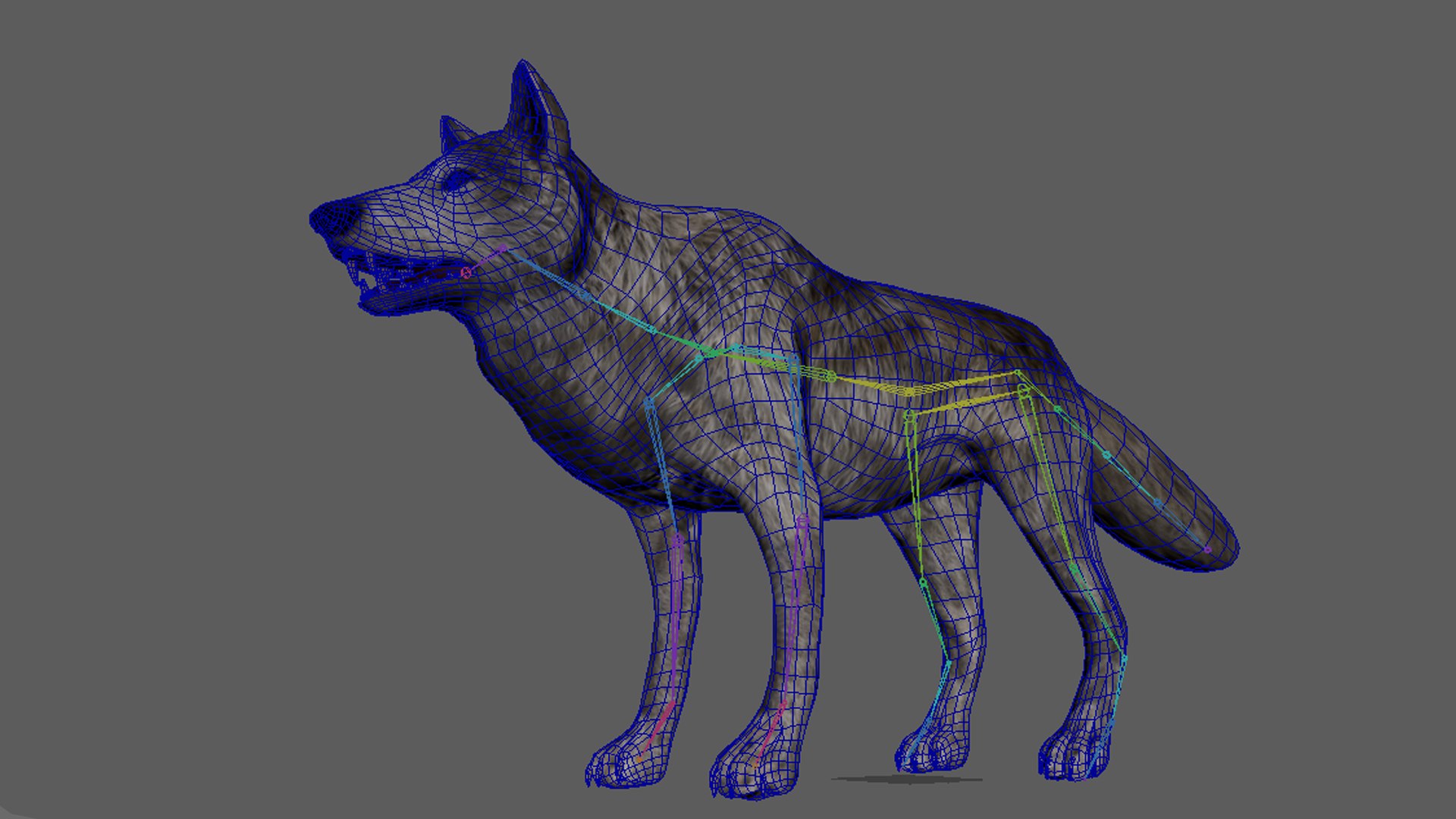 3D Lowpoly Wolf Rigged And Animated For VR AR Games1 - TurboSquid 2038565