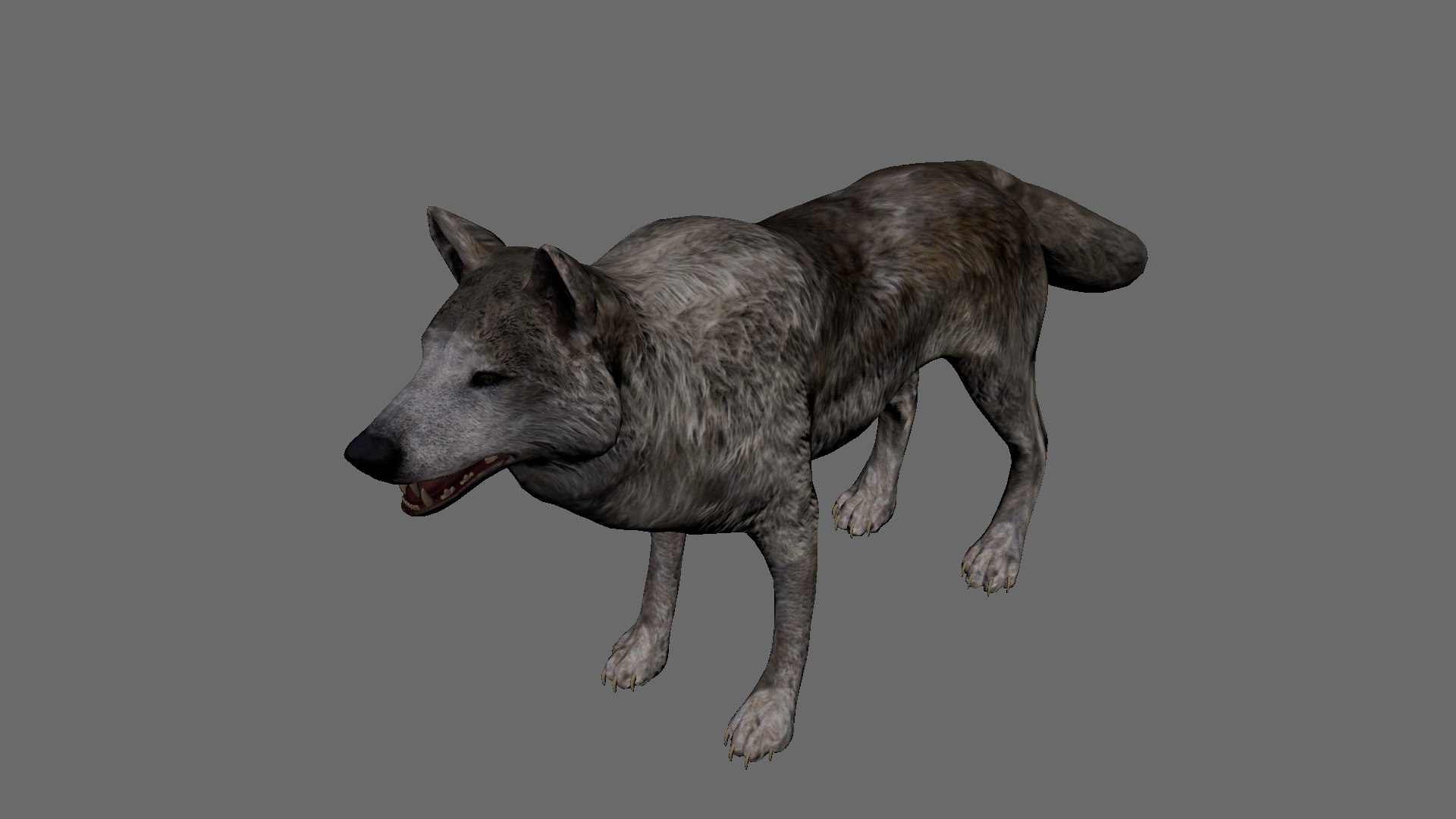 3D Lowpoly Wolf Rigged And Animated For VR AR Games1 - TurboSquid 2038565