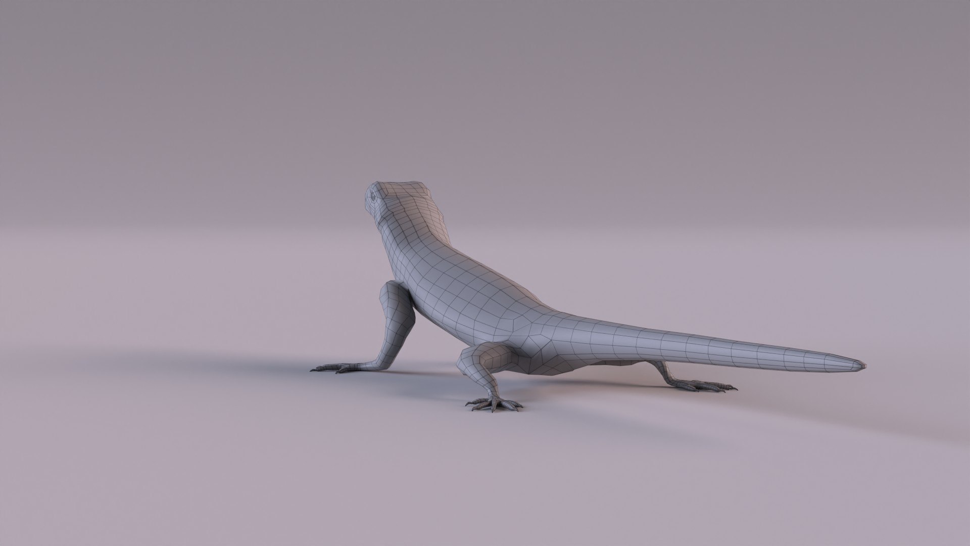 3D Rock Agama Lizard Model - TurboSquid 1901539