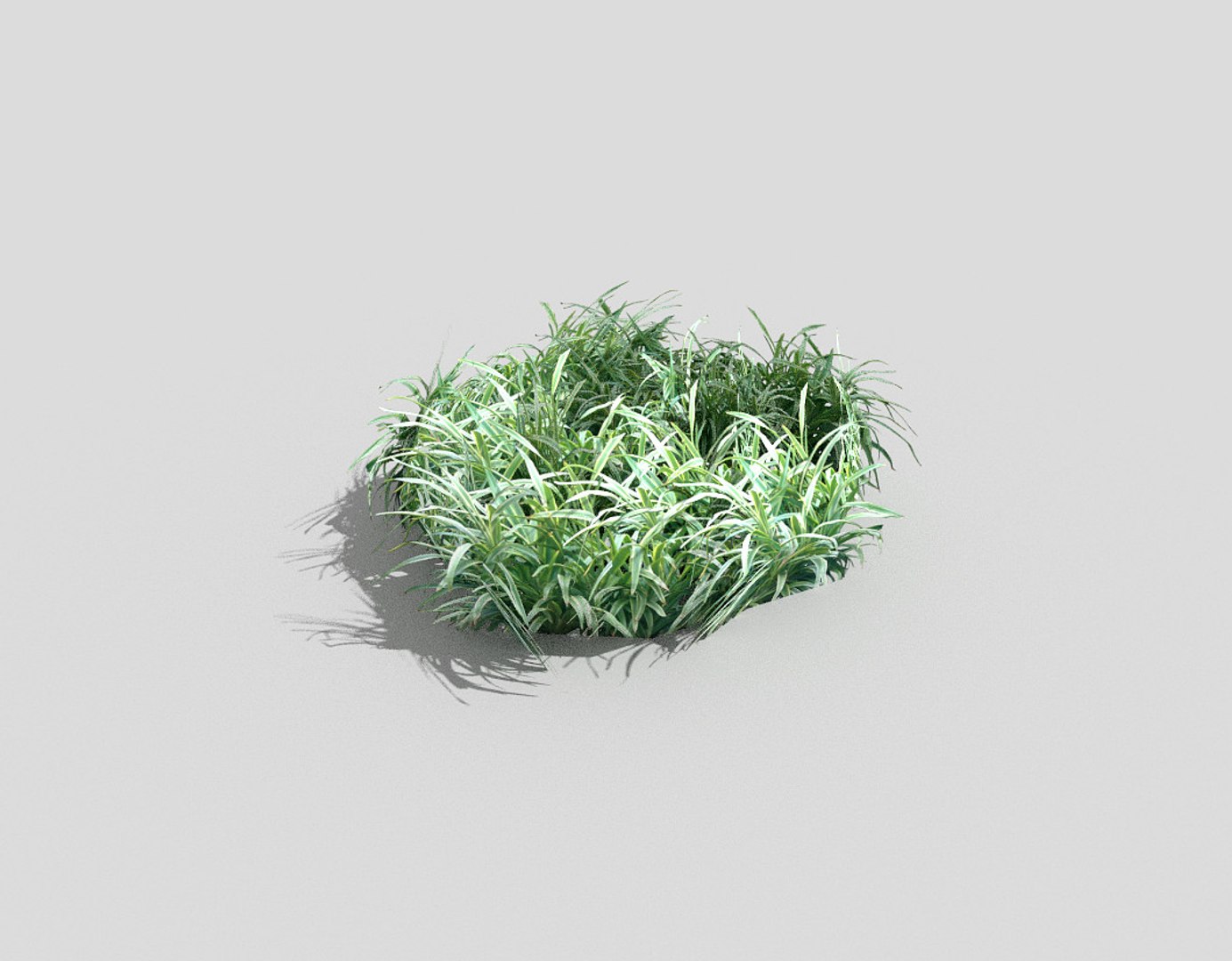 3d Model Grass