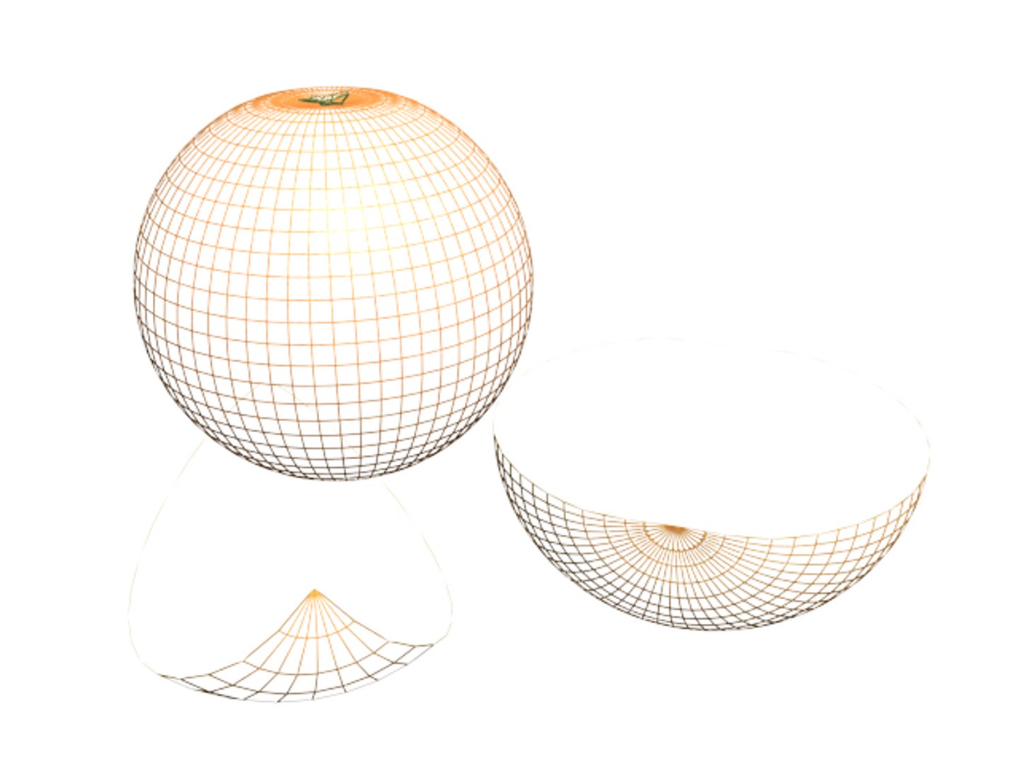 Free Fruit Orange 3d Model