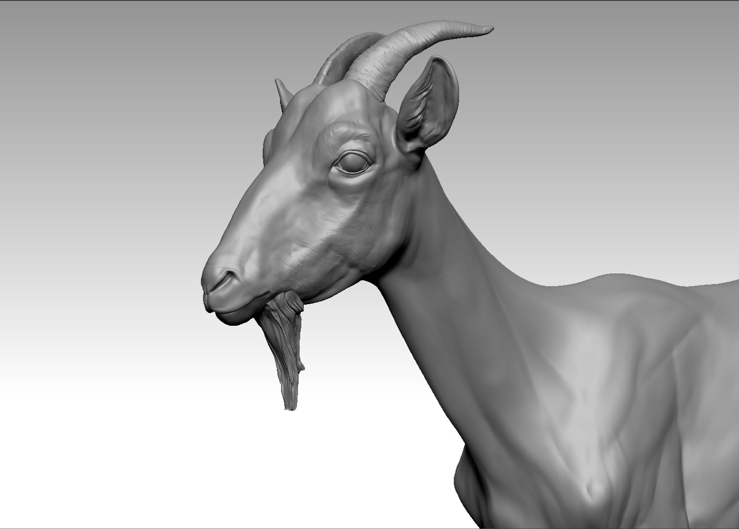 Goat Realistic Model - TurboSquid 1214066
