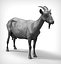 Goat Realistic Model - TurboSquid 1214066