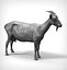 Goat Realistic Model - TurboSquid 1214066