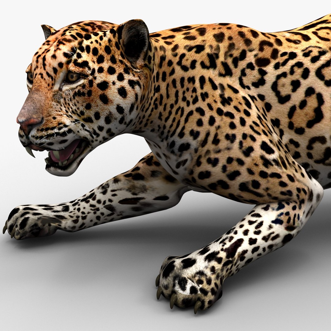 Pose 3 C4d