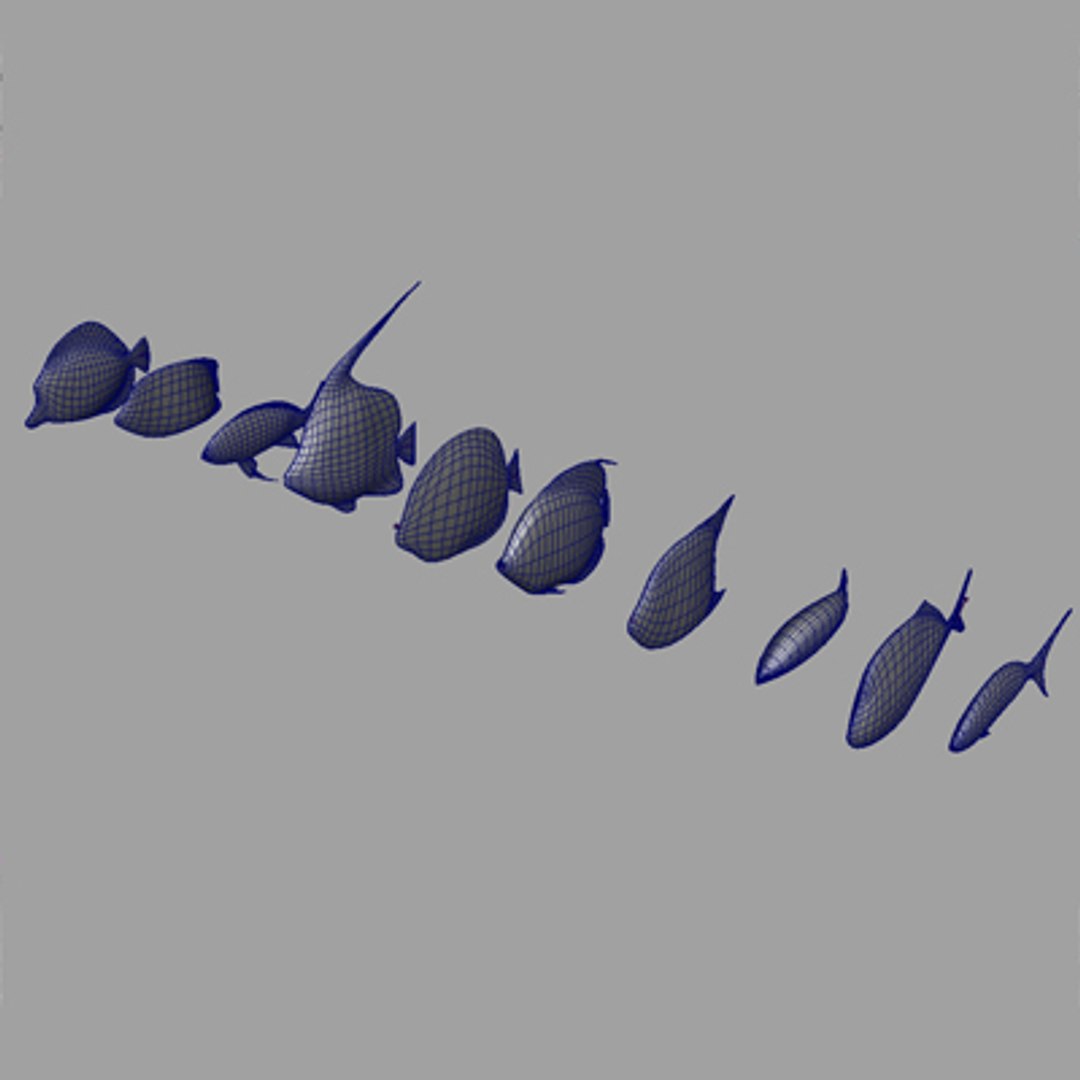 Fish Rigs 3d Model