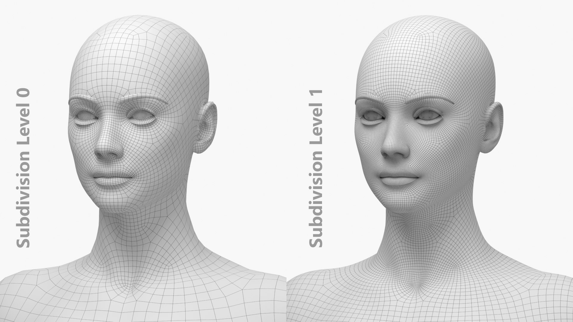 Natural Female 01 T-Pose Base Mesh Model - TurboSquid 2169269