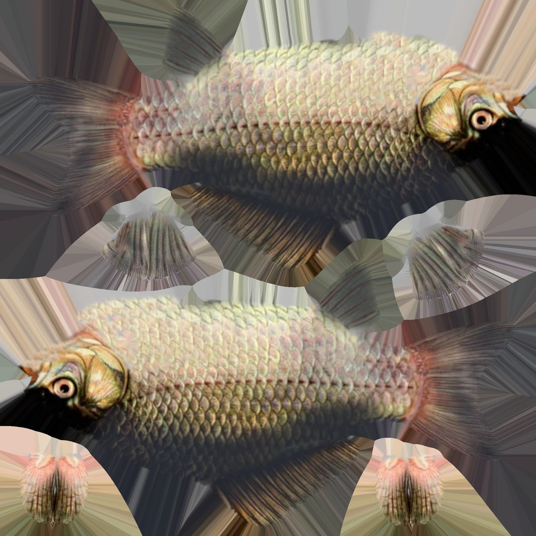 3D Seafood Market - TurboSquid 2288668