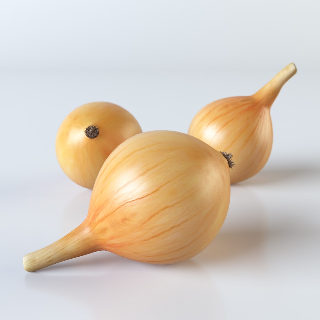 3ds Max Onion