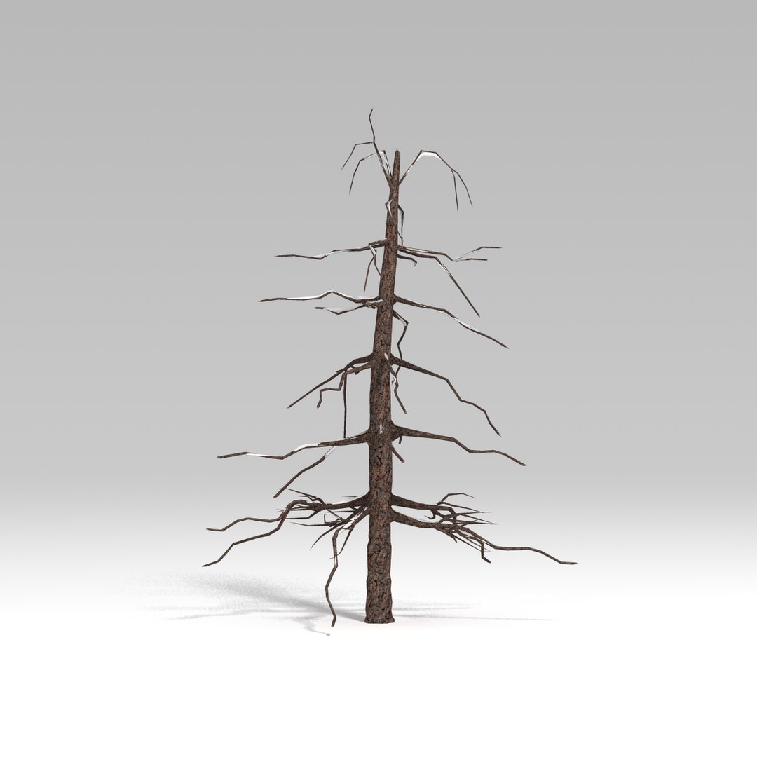 3d Model Snowtree Tree Snow