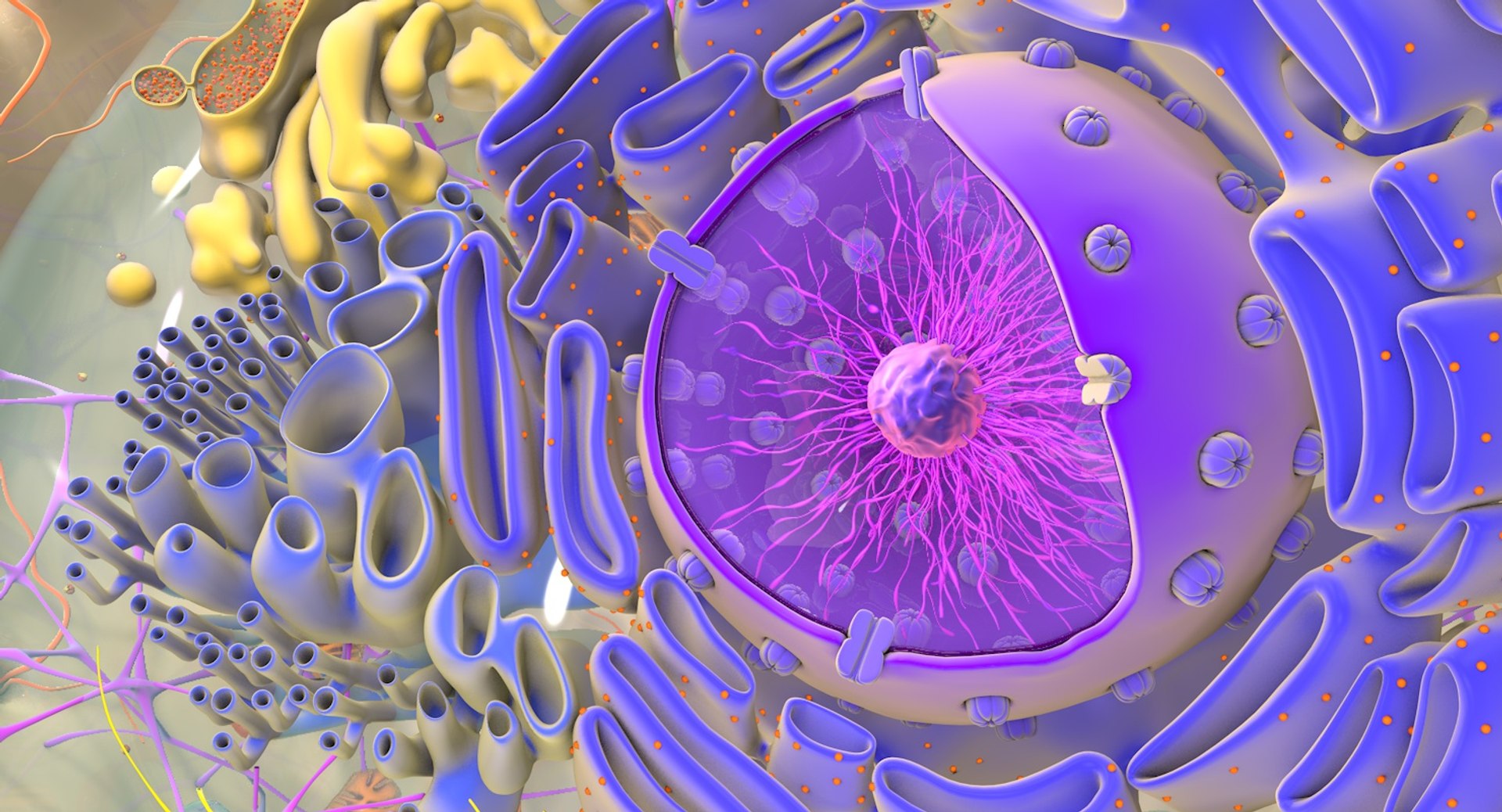 3D human cell - TurboSquid 1390779