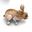 Rabbit Animation 3d Fbx
