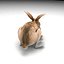 Rabbit Animation 3d Fbx