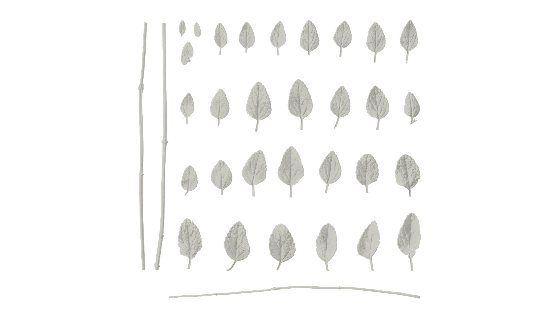 3D Model Anydrafts Salvia 08 Leaf 01 Textures - TurboSquid 2358788