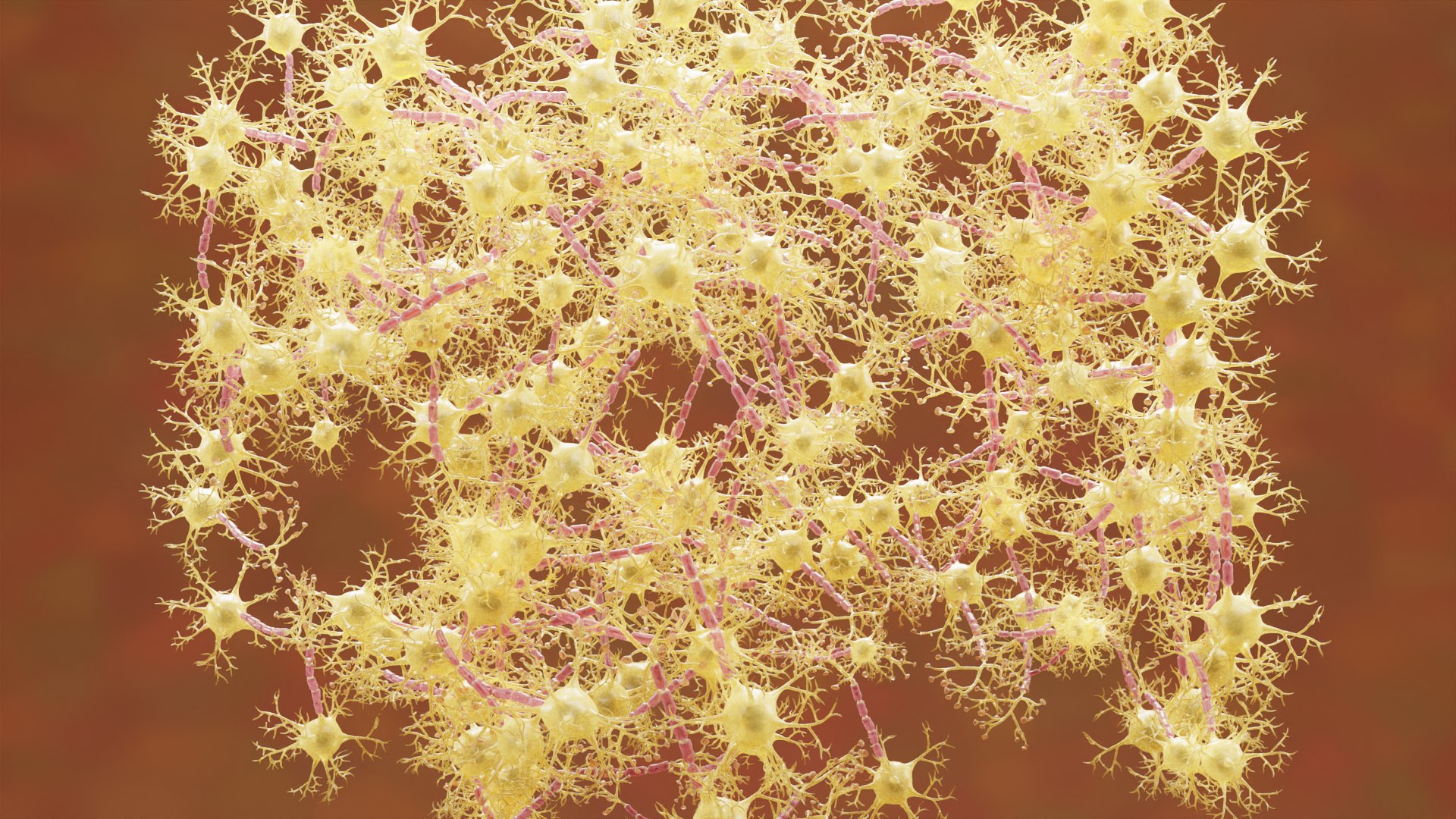 3D Neural Networks - TurboSquid 2174494