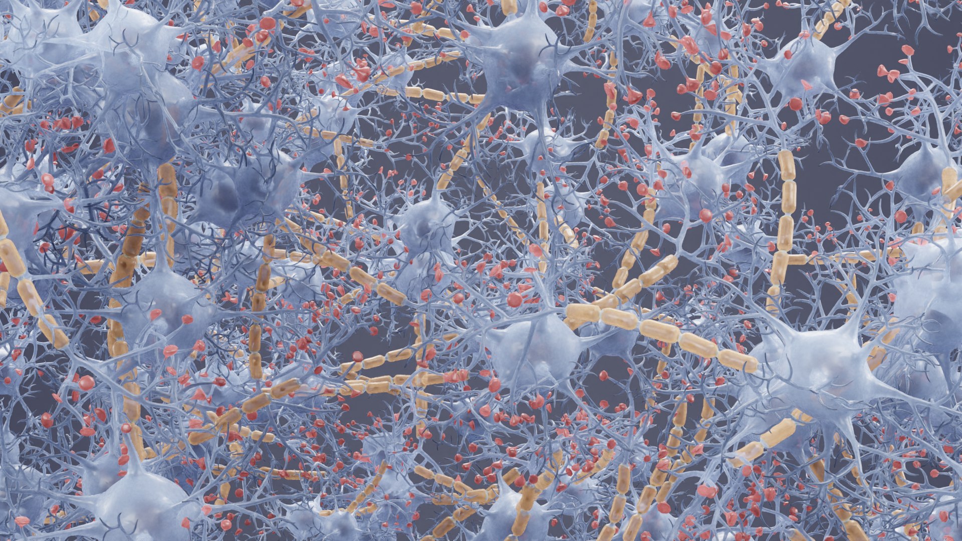 3D Neural Networks - TurboSquid 2174494