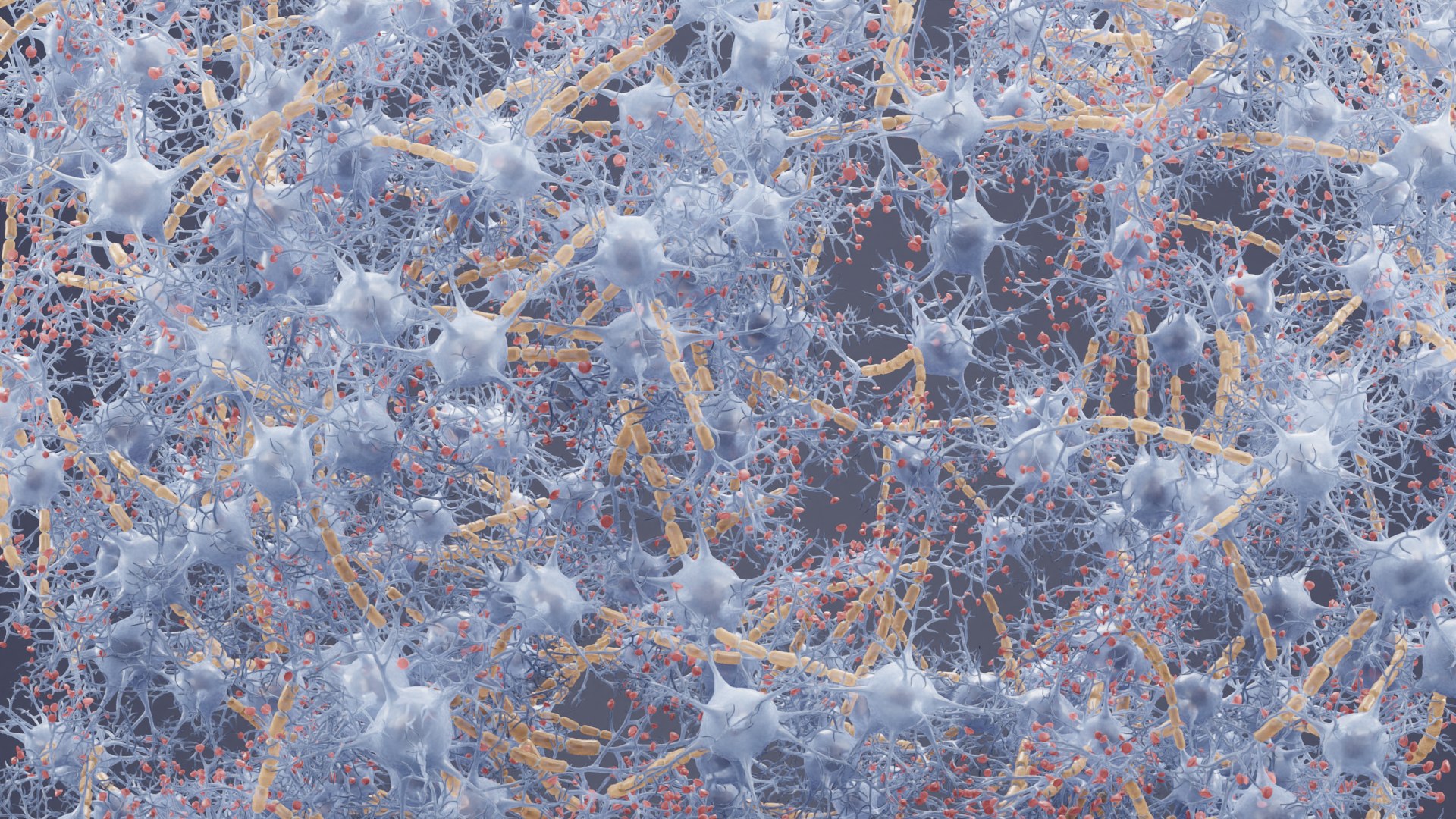 3D Neural Networks - TurboSquid 2174494