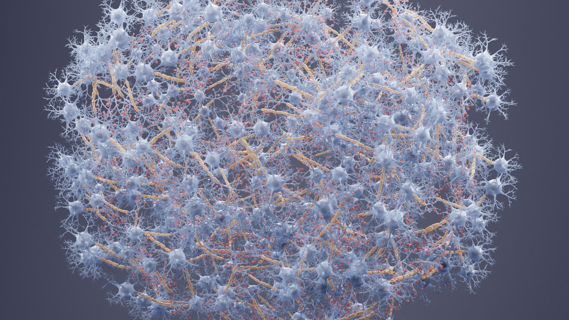 3D Neural Networks - TurboSquid 2174494