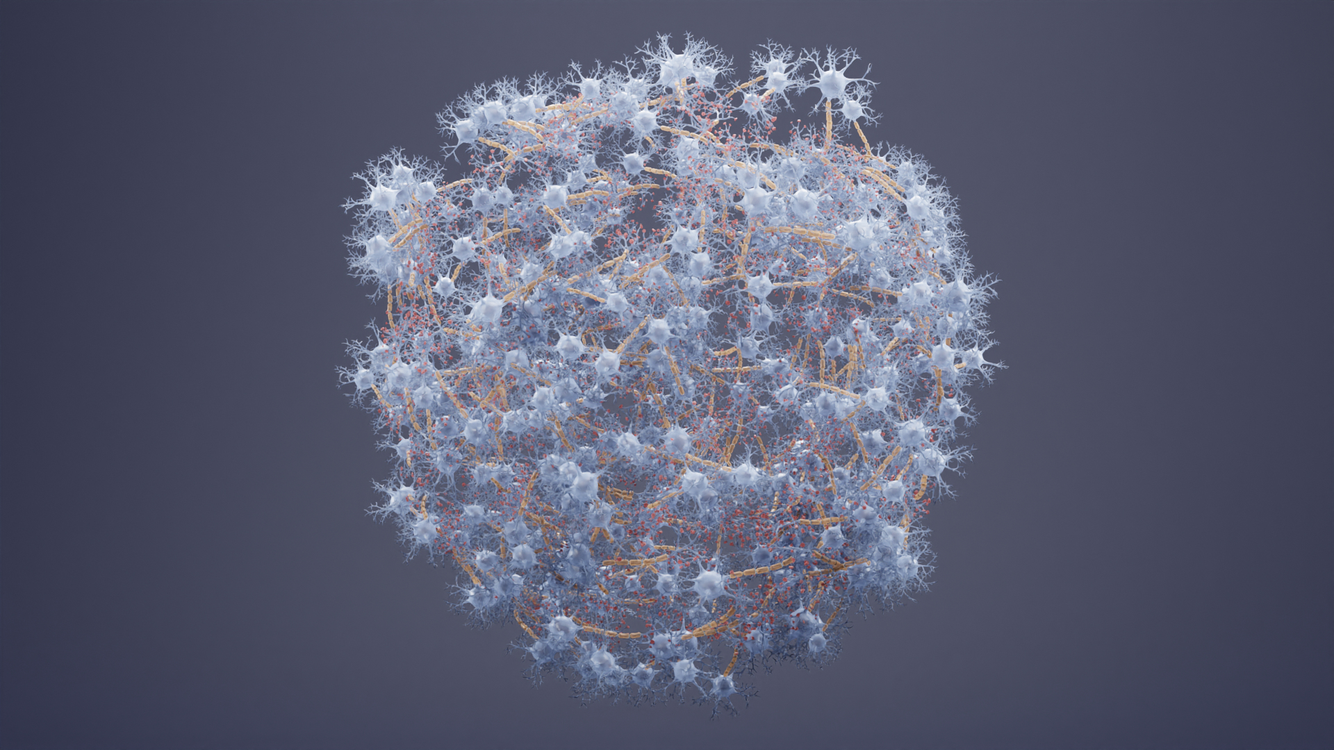 3D Neural Networks - TurboSquid 2174494