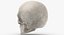 3D Real Human Skull Cranial - TurboSquid 1674893