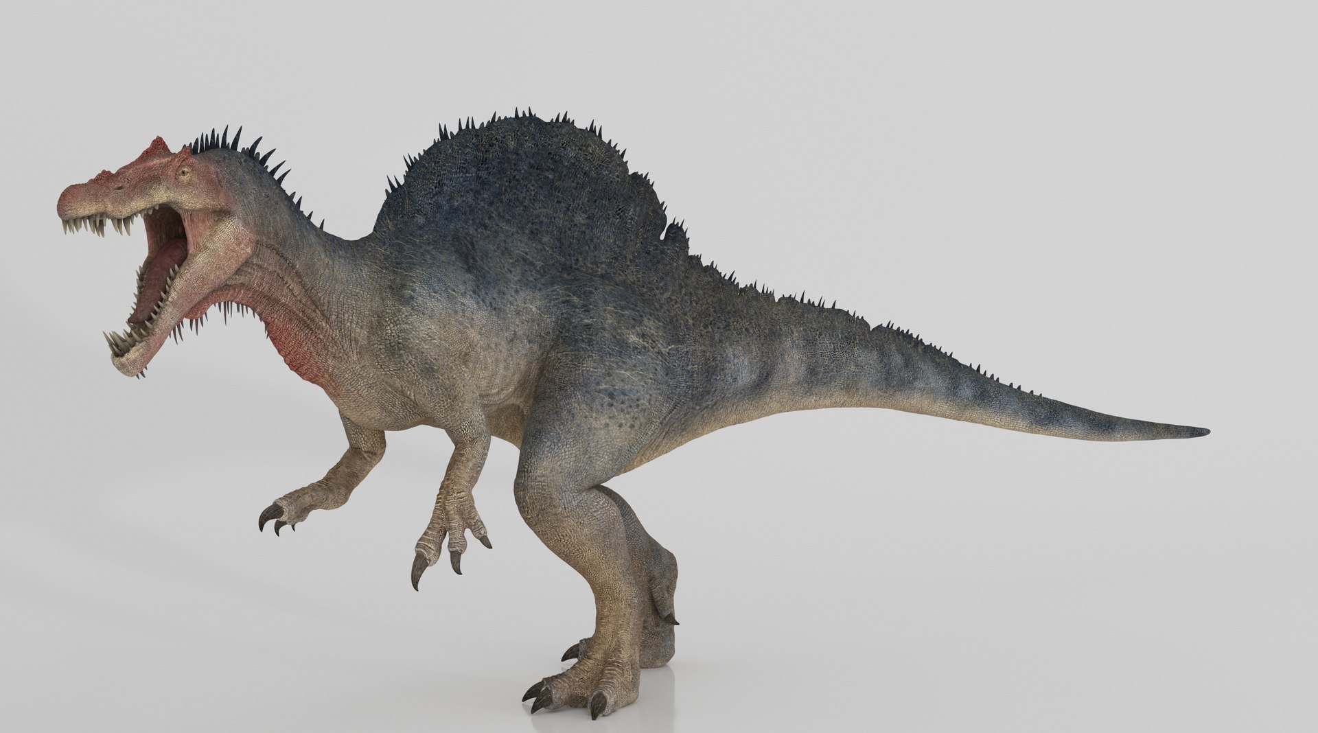 Dinosaur Back Spinosaurus 3D - TurboSquid 2173026