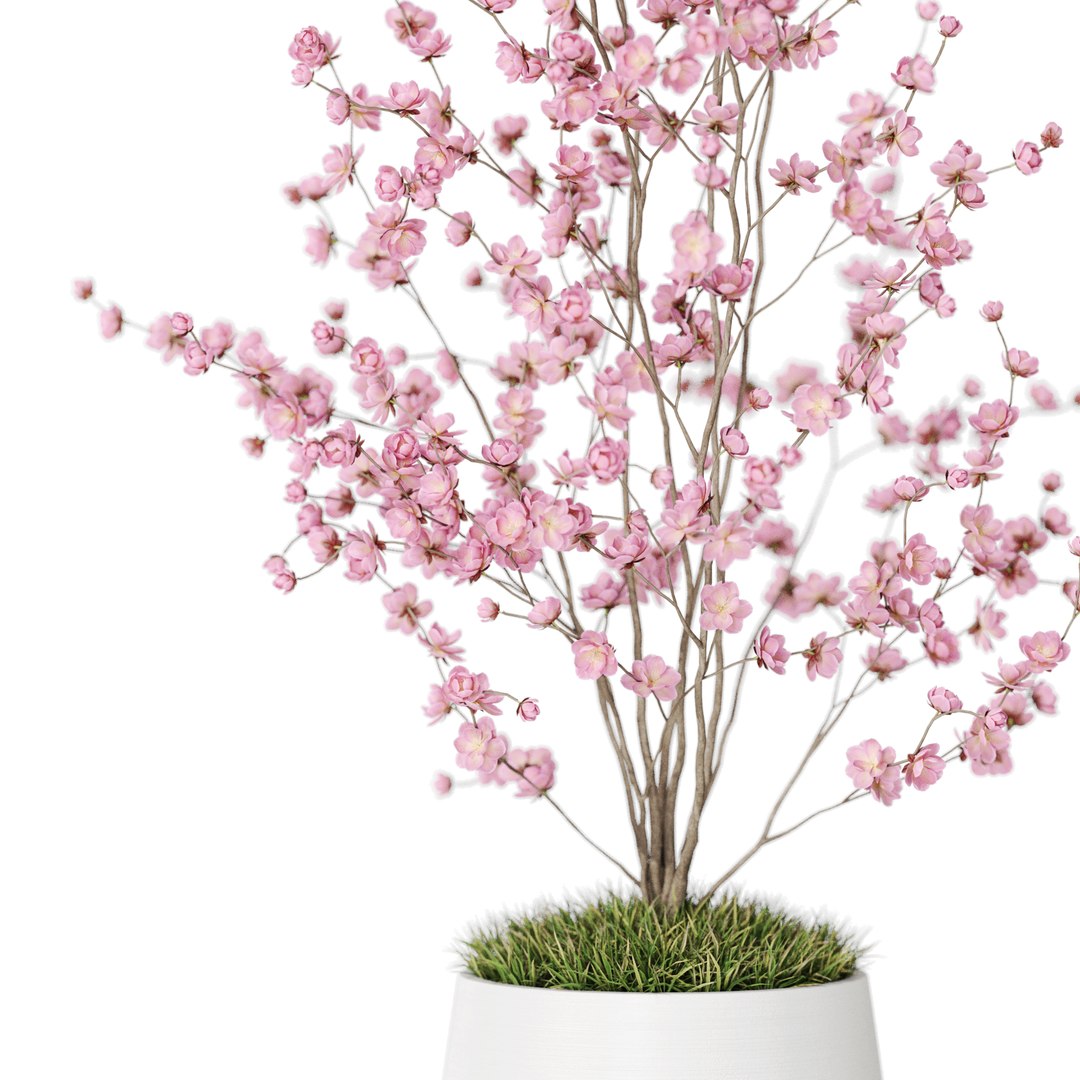 3D Plants Collection 1199 - TurboSquid 2381683