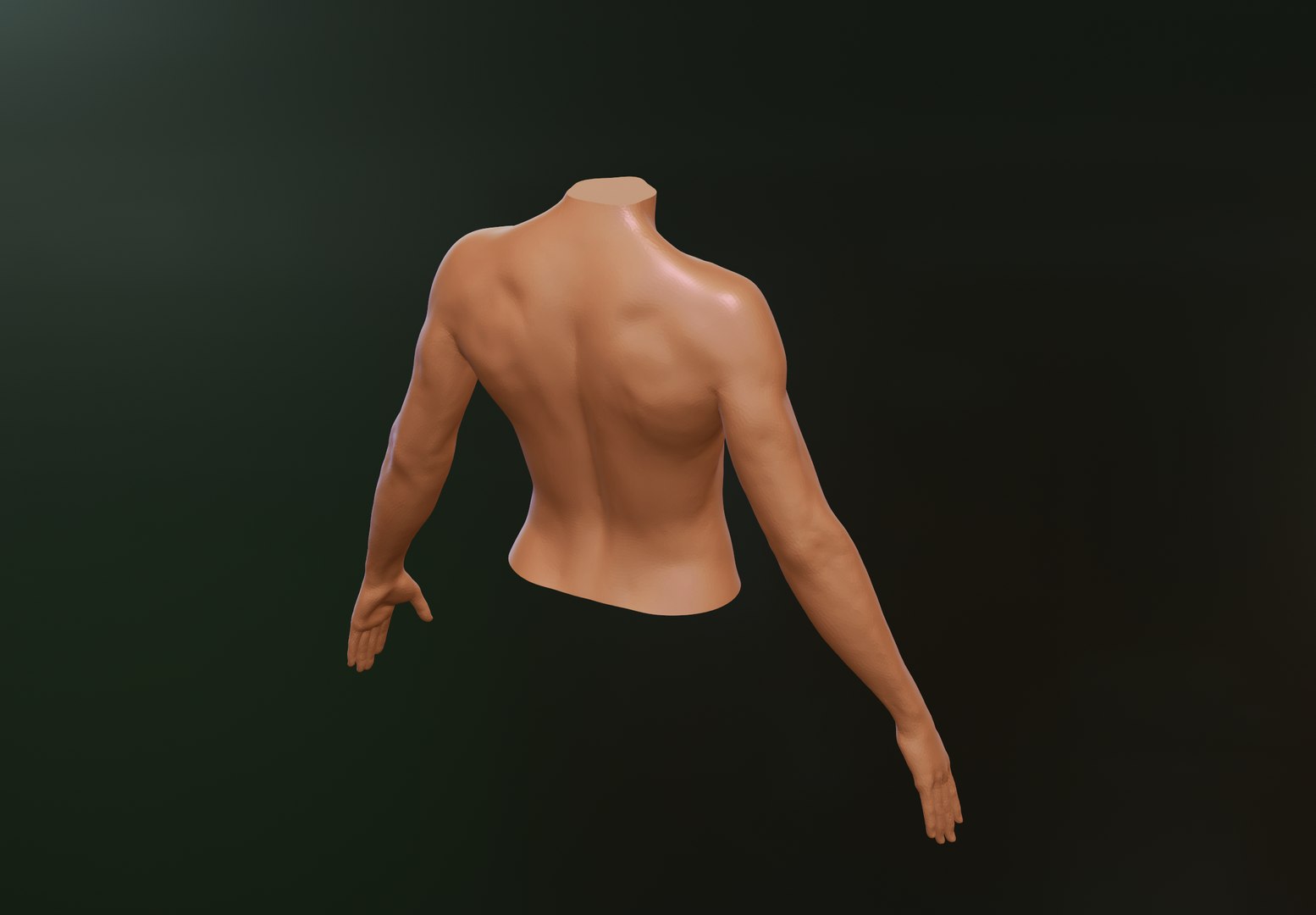 Muscular Female Torso Model - TurboSquid 2098966