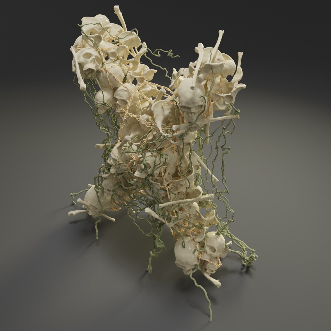 Letter x bones skeleton 3D model - TurboSquid 1546370