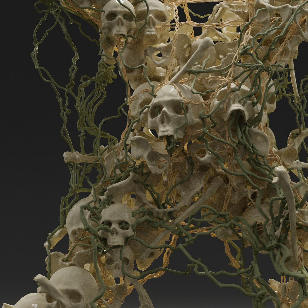 Letter x bones skeleton 3D model - TurboSquid 1546370