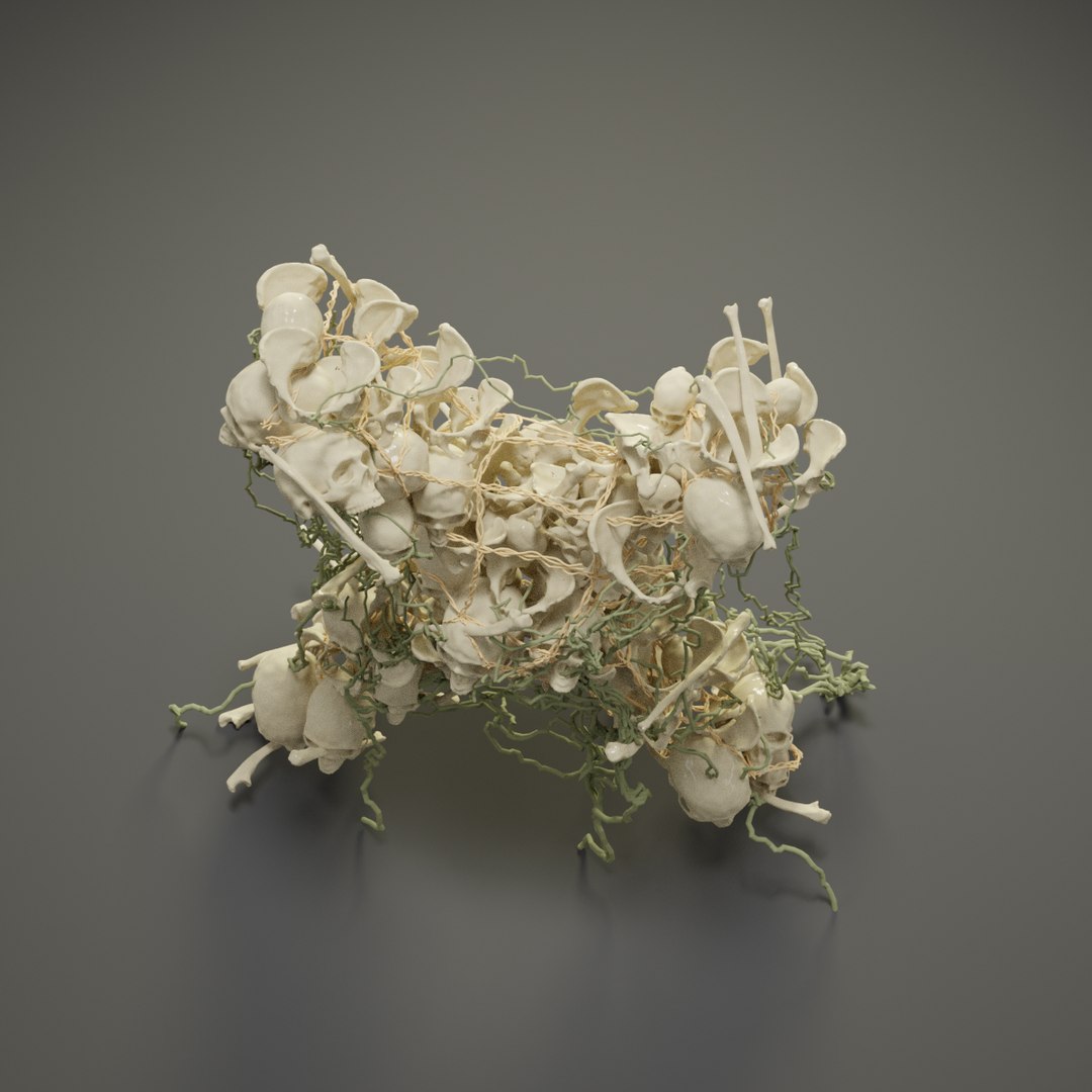 Letter x bones skeleton 3D model - TurboSquid 1546370