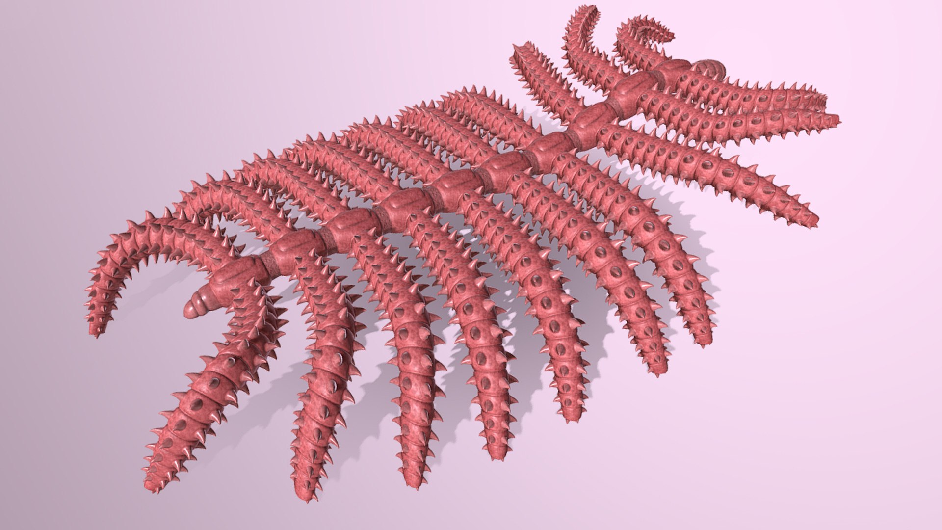 Diania Cactiformis 3D Model - TurboSquid 1577912