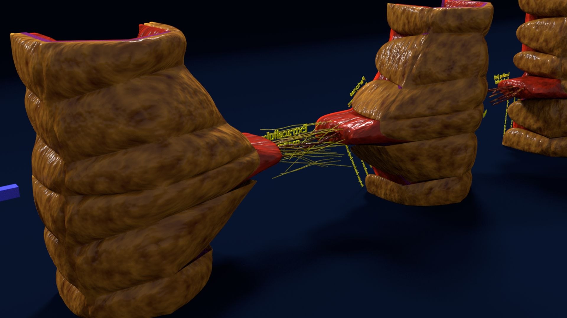 3D Angiogenesis - TurboSquid 1557420
