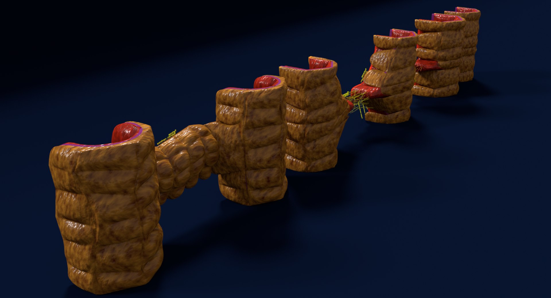 3D Angiogenesis - TurboSquid 1557420