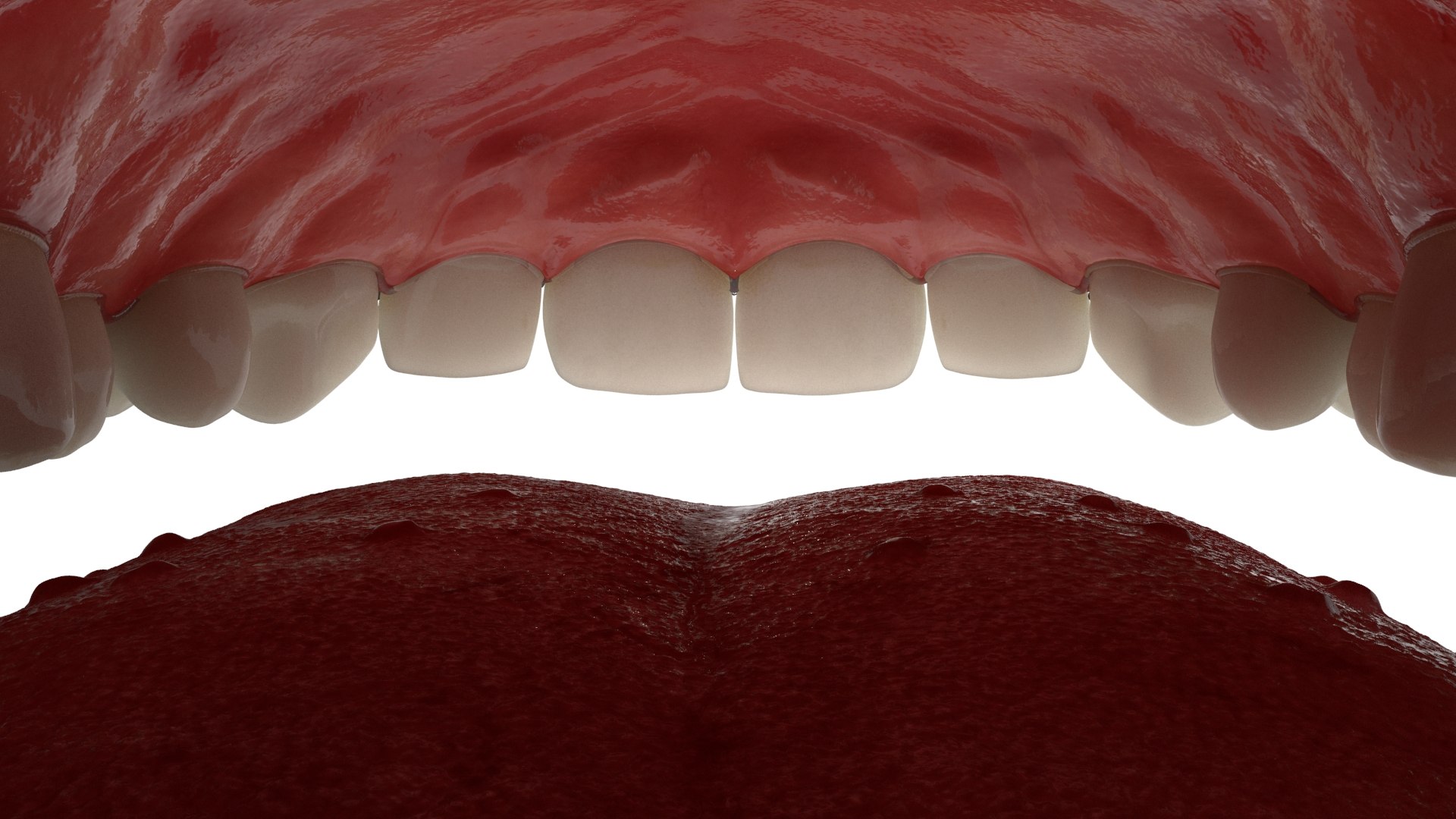 Realistic Human Mouth Rig 3D model - TurboSquid 1899542