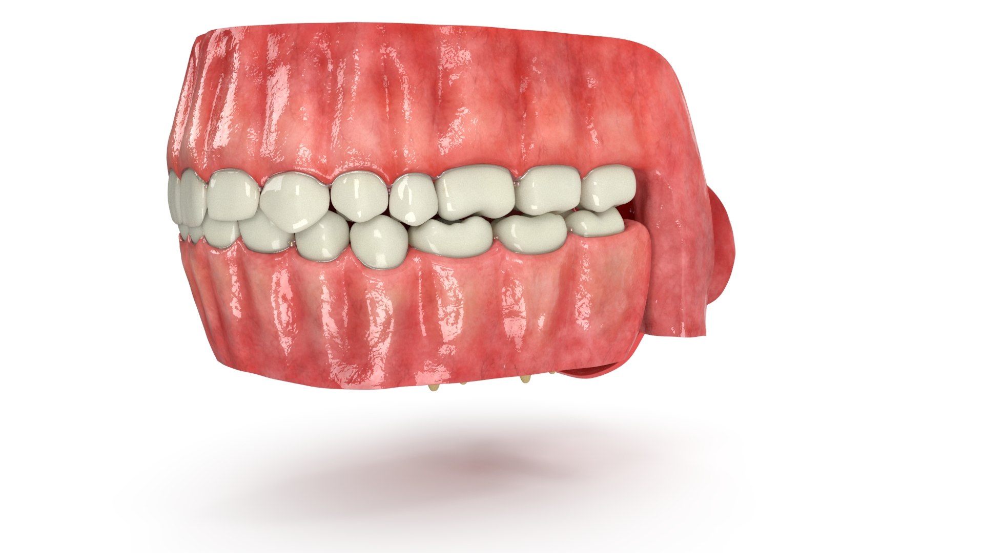 Realistic Human Mouth Rig 3D model - TurboSquid 1899542