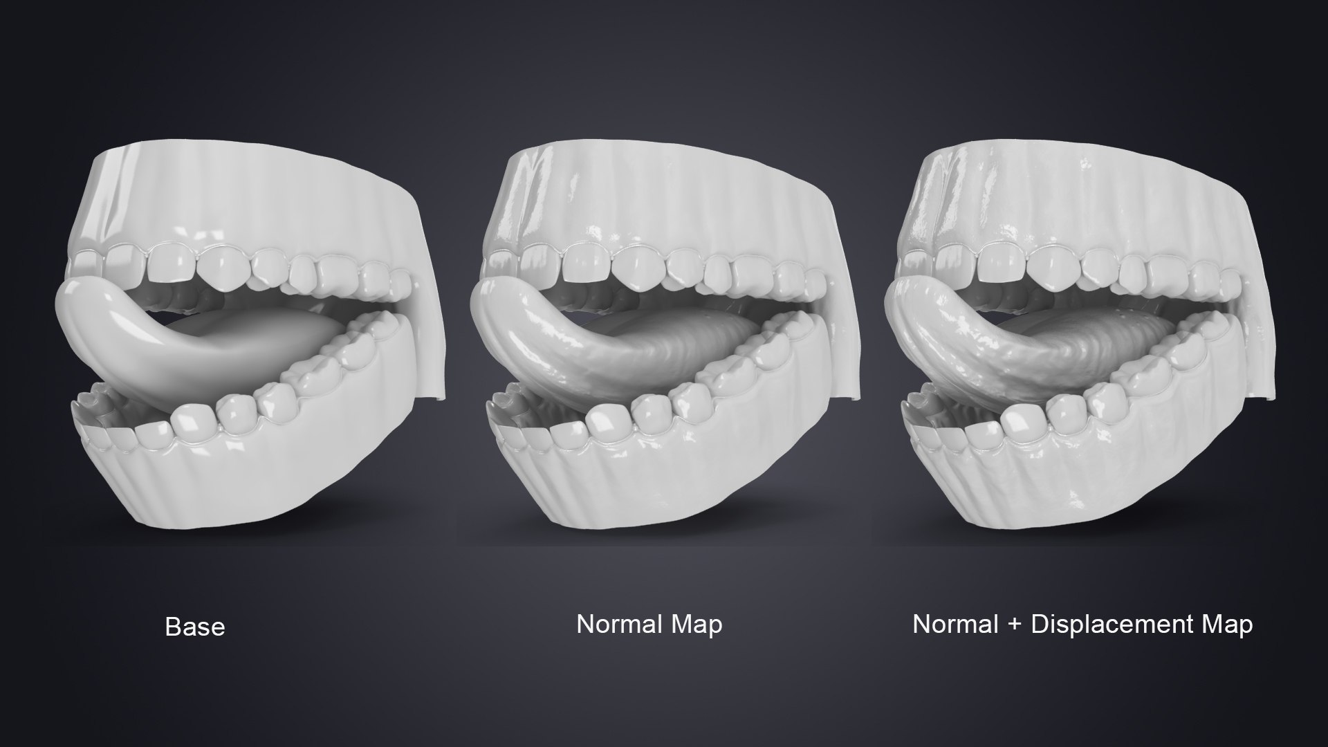 Realistic Human Mouth Rig 3D model - TurboSquid 1899542