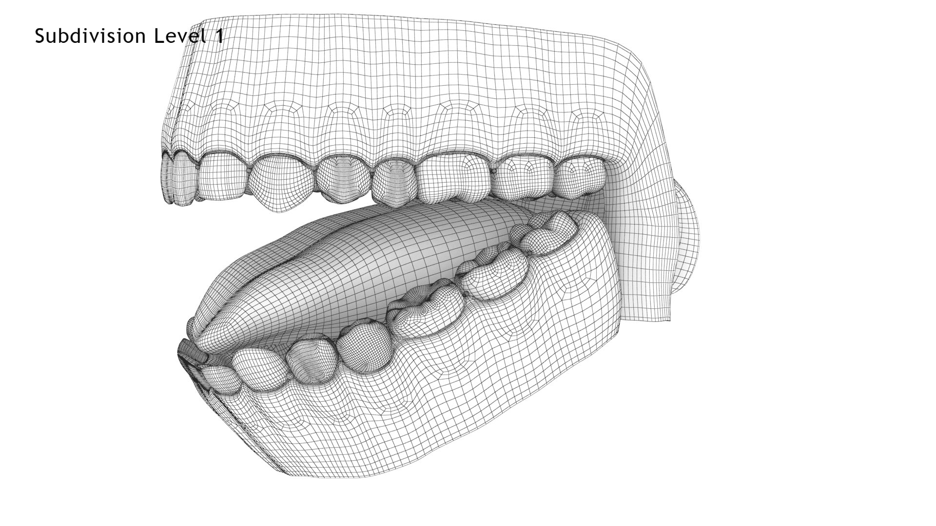 Realistic Human Mouth Rig 3D model - TurboSquid 1899542