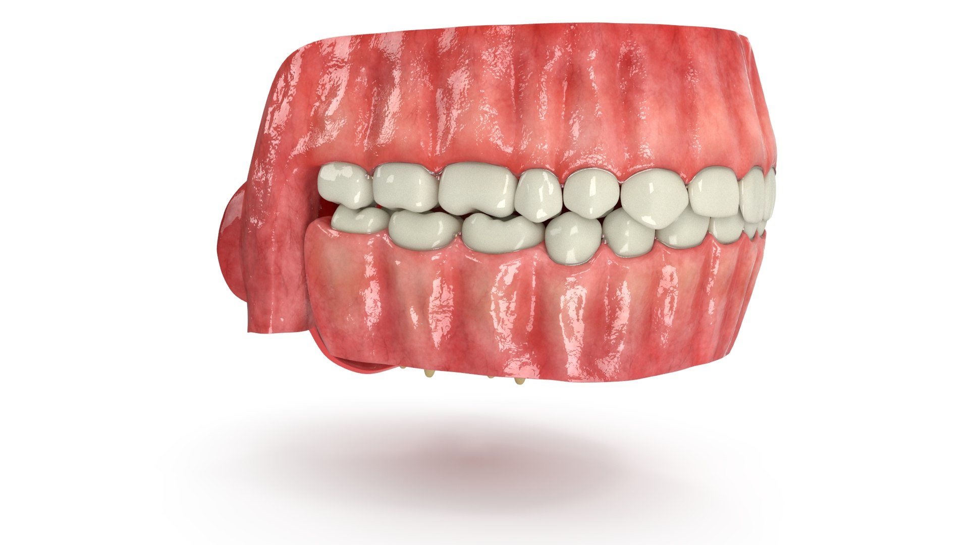 Realistic Human Mouth Rig 3D model - TurboSquid 1899542